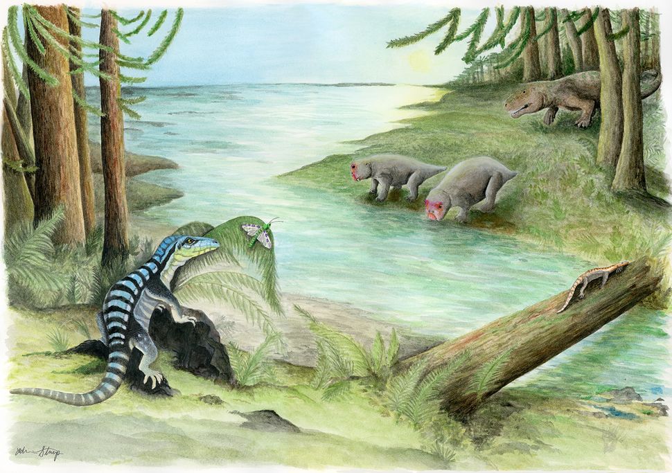 Before There Were Dinosaurs, This Triassic 'Lizard King' Ruled ...