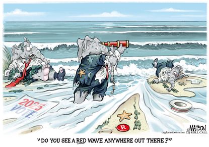 5 true blue cartoons about the 2025 elections | The Week