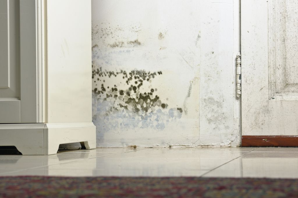 What causes damp? Expert reveals the most common causes | Homebuilding