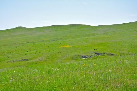 Tallgrass Prairie Ecosystem Images | North American Prairies | Live Science