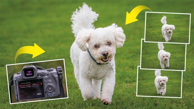 Cheat sheet: Rear curtain flash – how it works and why you need it ...