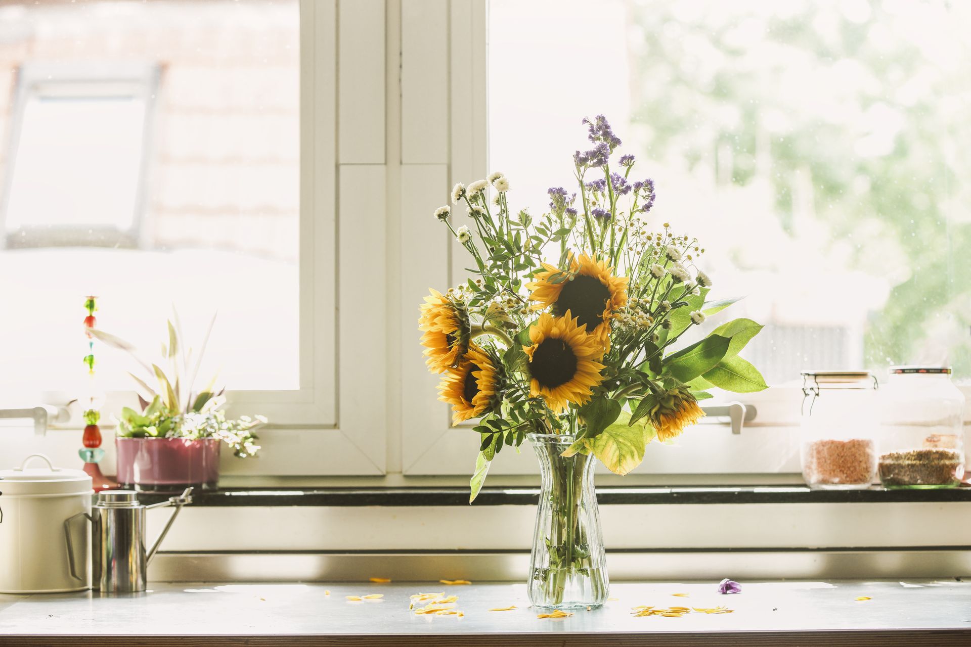 How to Care for Sunflowers in a Vase — Gardening Experts Share Methods ...