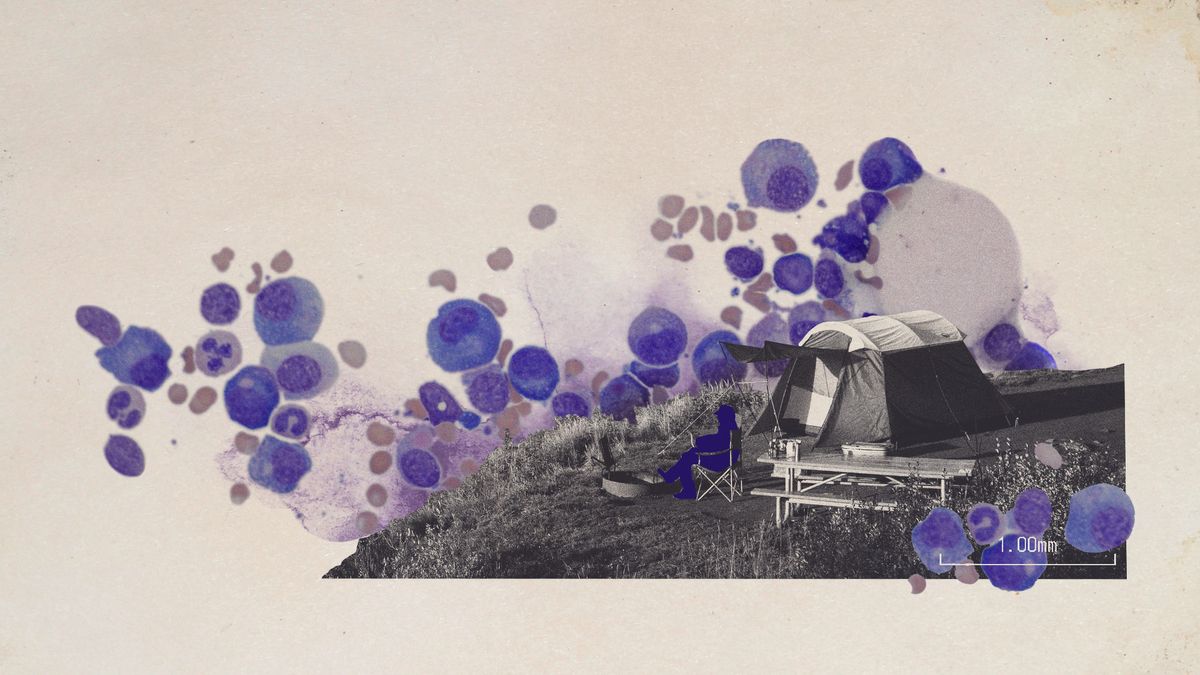 An introvert's dream? Flu camps that offer £4,400 to spend two weeks ...