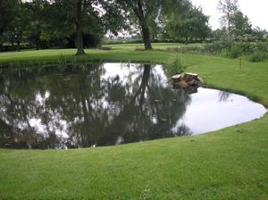 Golf Club pond gets a make over | Golf Monthly