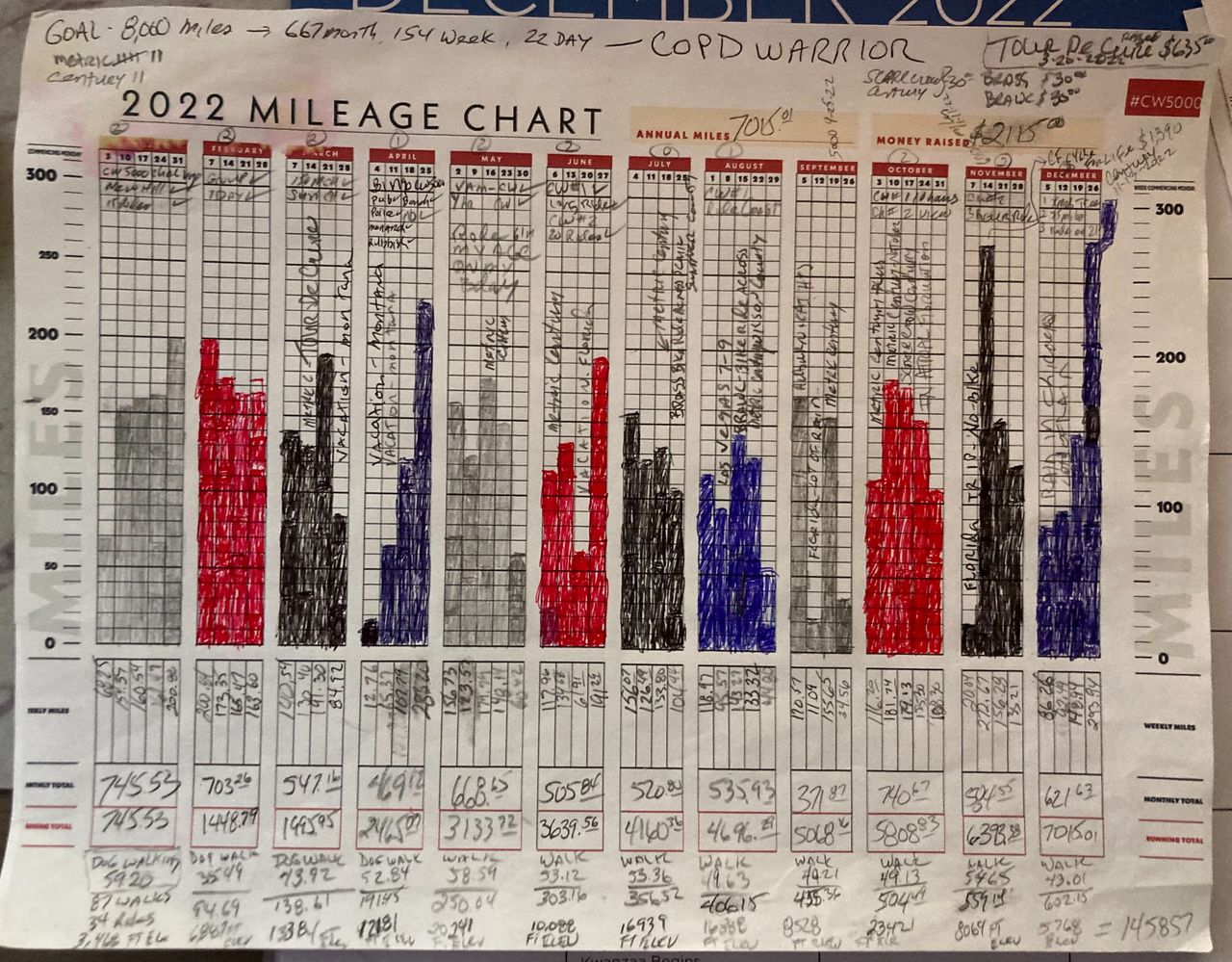Analogue Strava - the best and most colourful 2022 mileage charts of ...