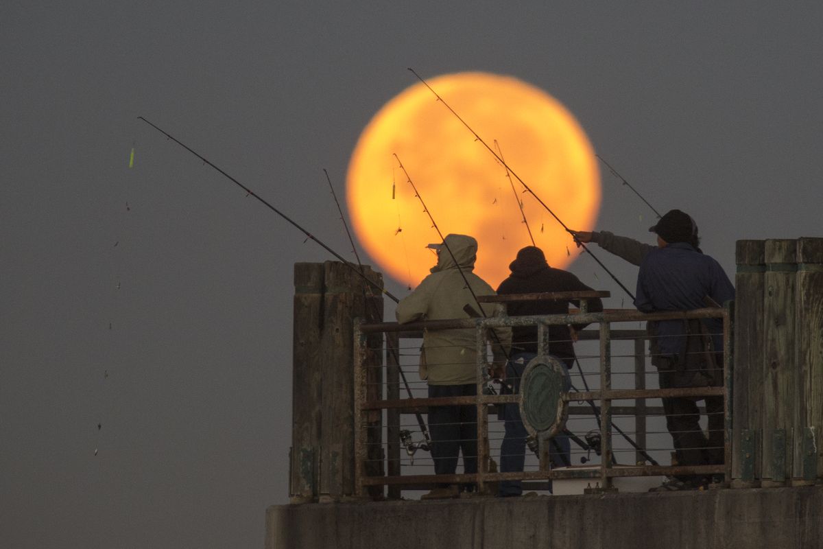 'Supermoon' Photos: The Closest Full Moon Until 2034 in Pictures | Space