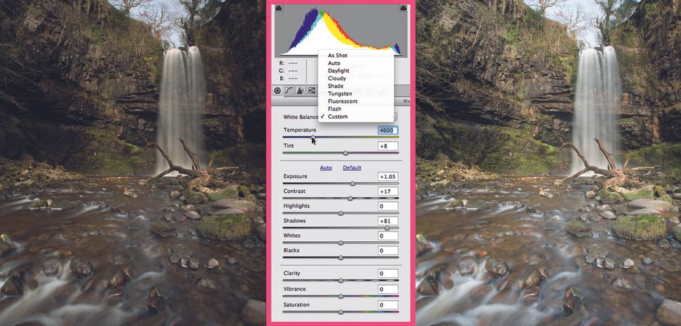 Learn to work with Adobe Camera Raw | Digital Camera World