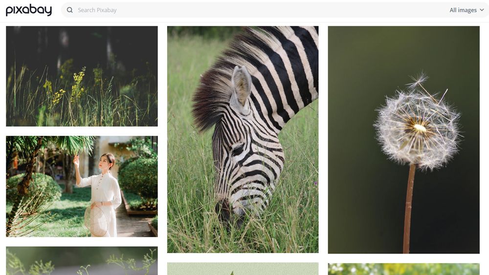 The best stock photo libraries | Creative Bloq