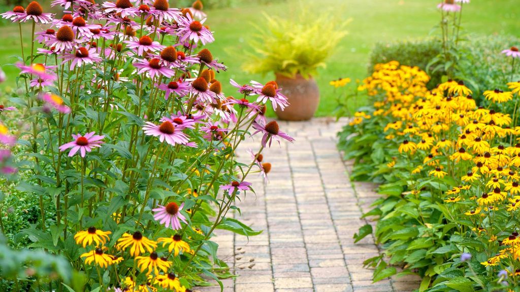 Best ground cover plants to stop weeds: with expert advice | Homes and ...