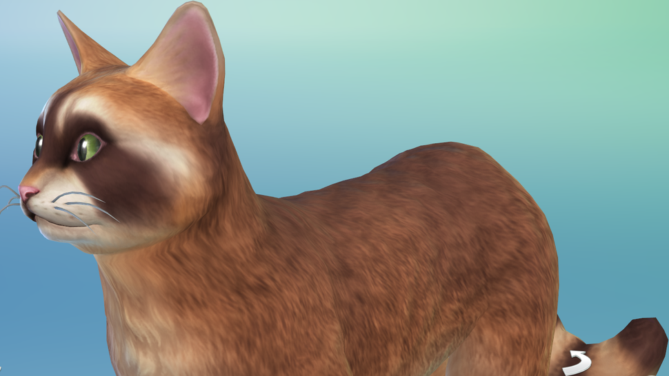 I bred raccoons and cats in The Sims 4 to create the cutest animal ever ...