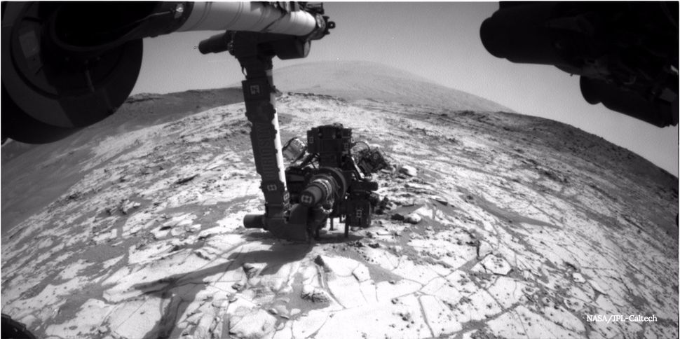 On Mars, Life Could Be Hiding Under the Rocks | Space