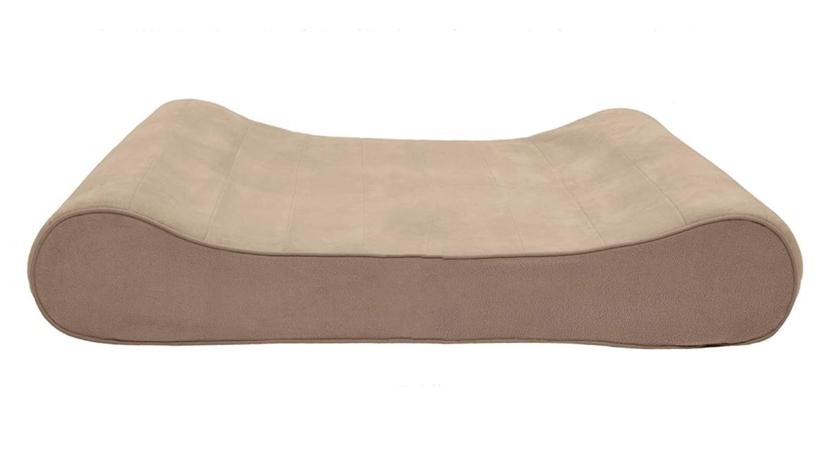 Best cat sofa: Places for your kitty to sit pretty | PetsRadar