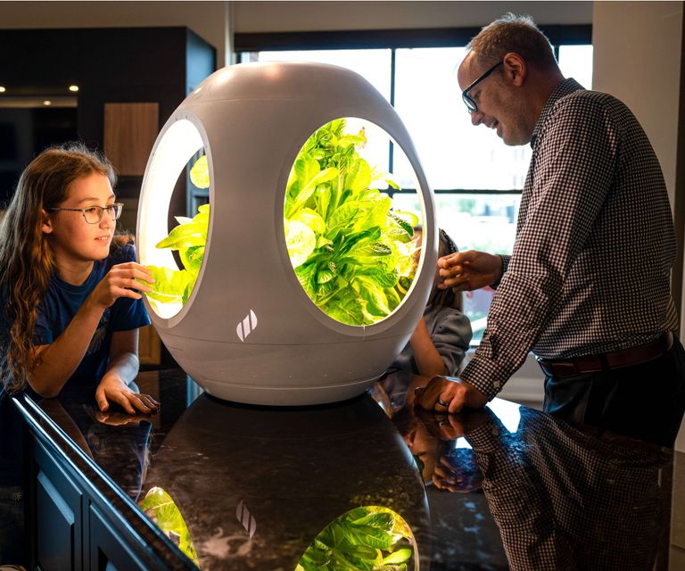 NASA technology makes fogponics possible for growing plants | Homes and ...
