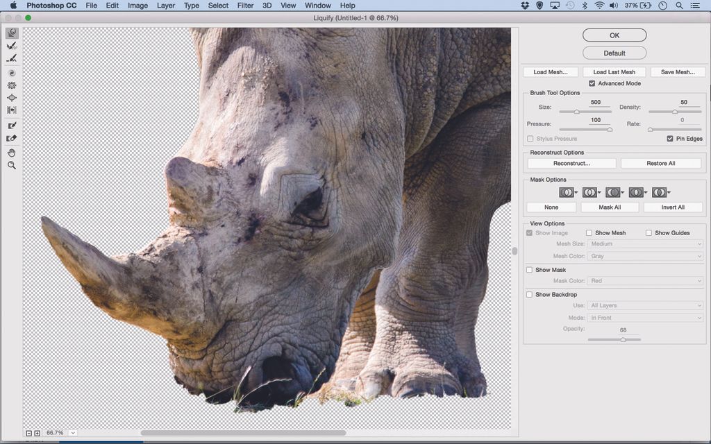 How to reshape photos of wildlife and pets | Digital Camera World