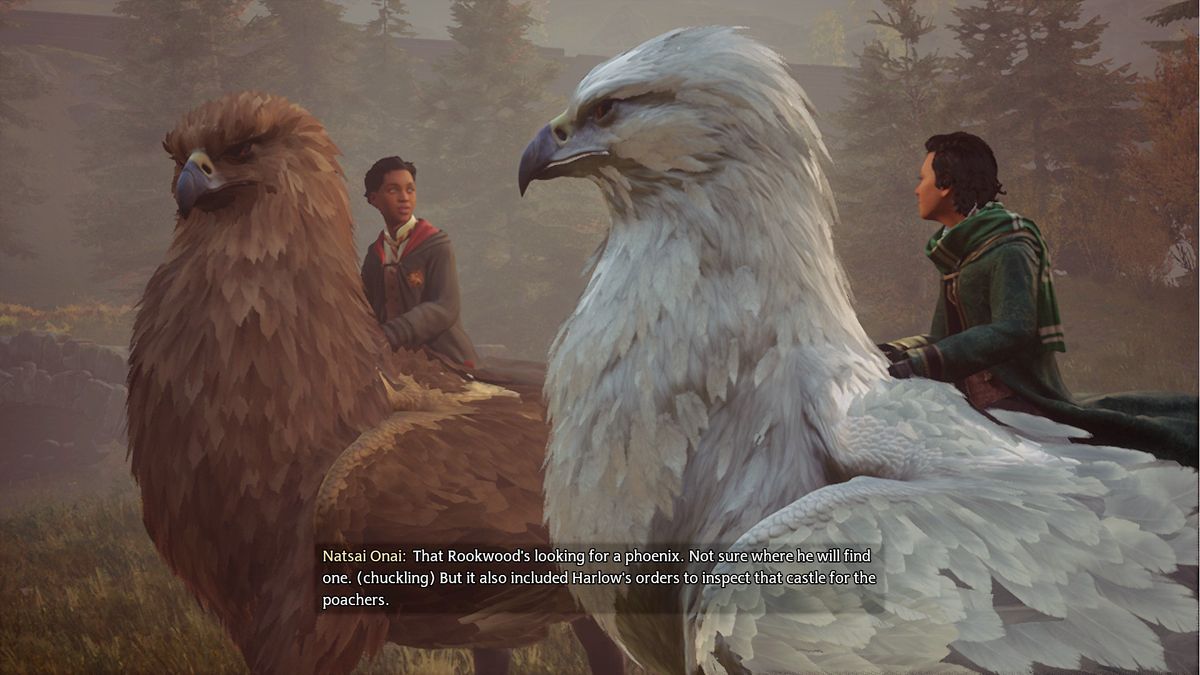 Are there Hogwarts Legacy pets that you can catch and play with? | GamesRadar+