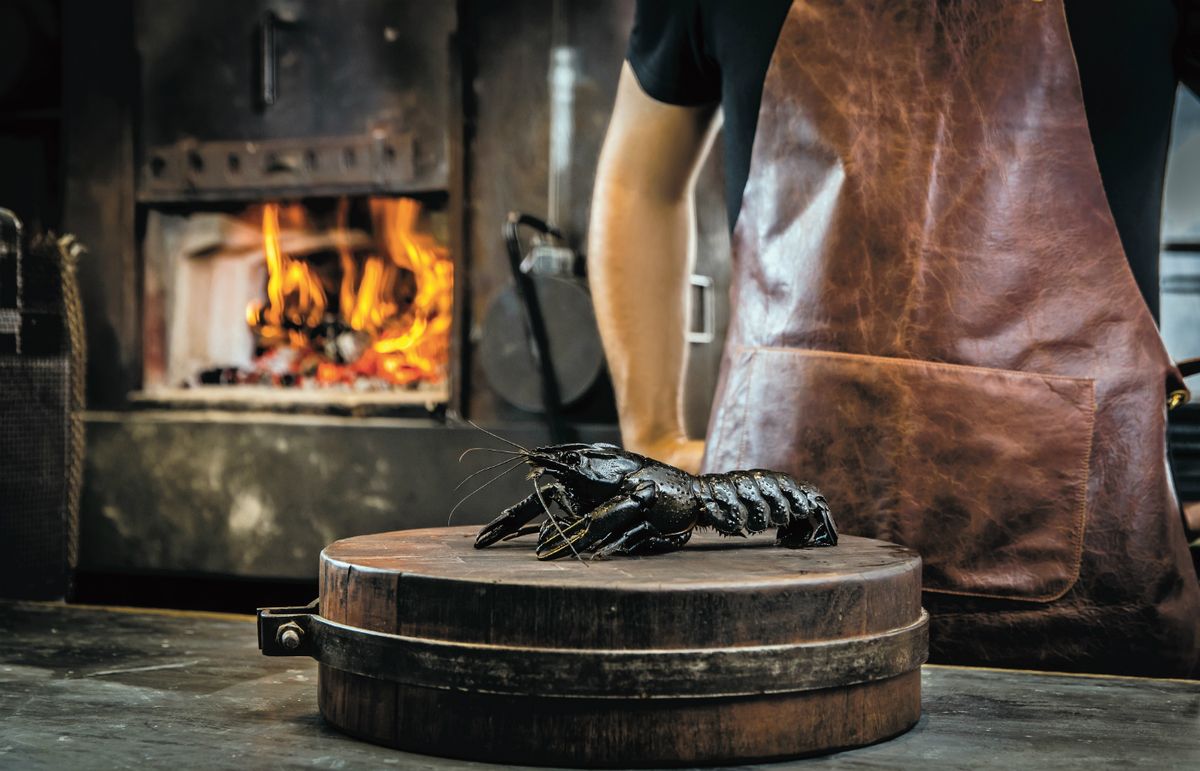 Finding Fire: new book explores cooking at its most elemental | The Week