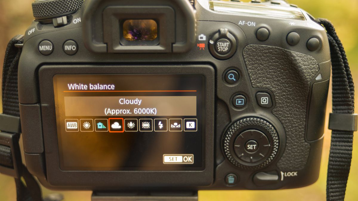 Get perfect fall colors in-camera! Use white balance like a pro ...