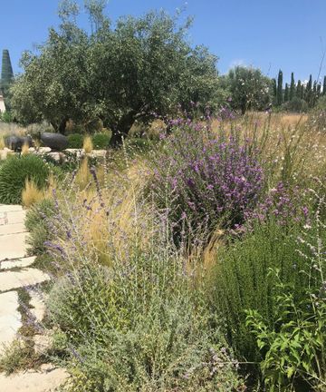 Dry gardens: how to design a drought-tolerant backyard | Gardeningetc