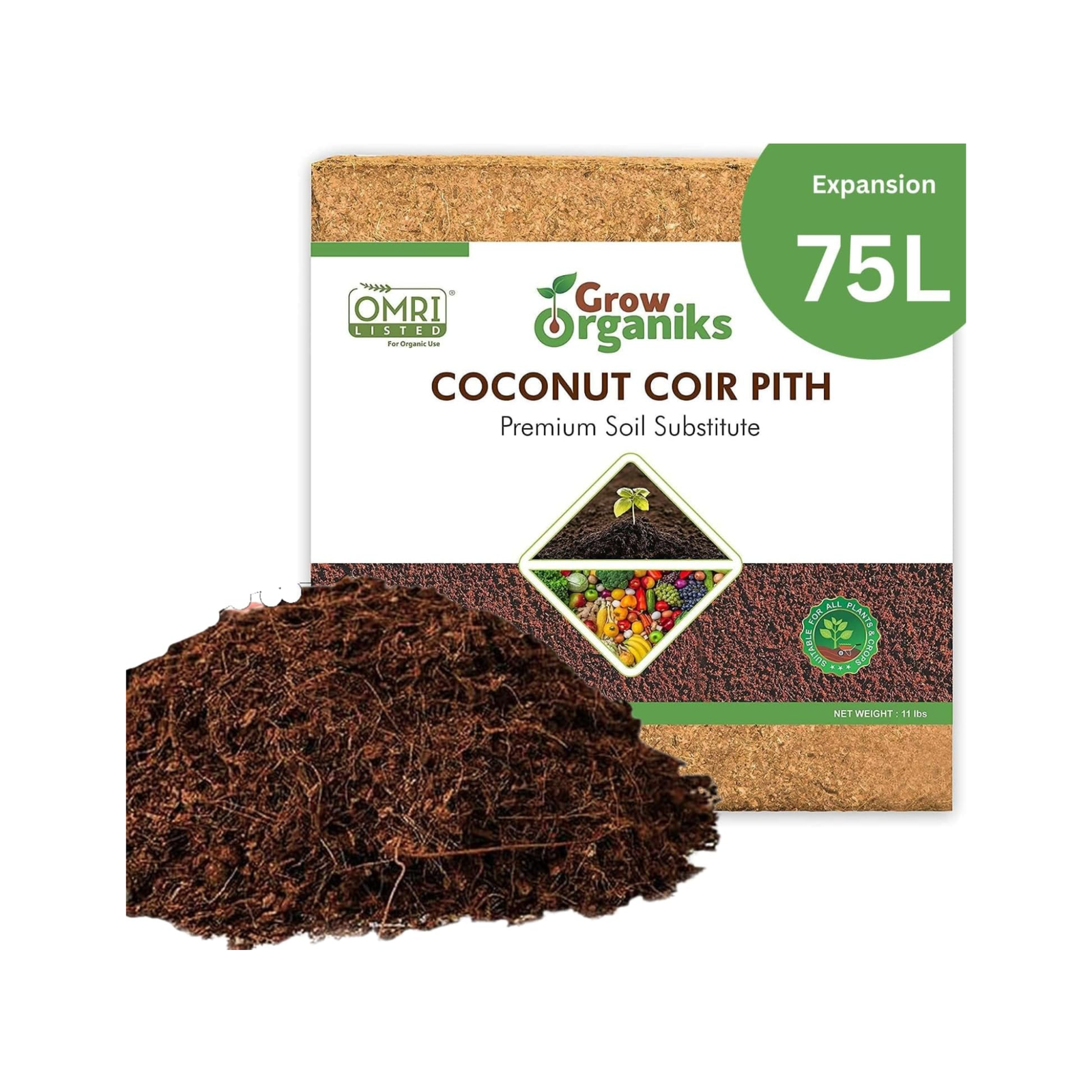 How to repot a money tree: help it prosper without stress | Homes and ...