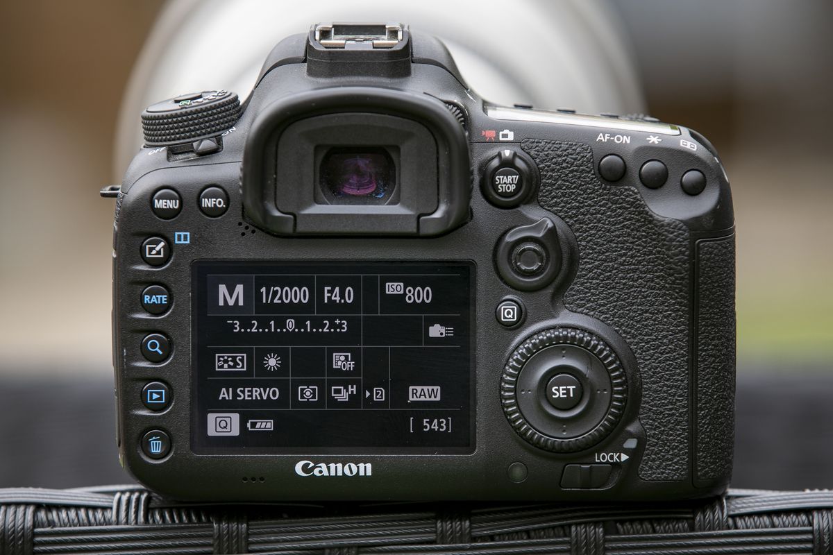 How to use a 500mm lens to photograph wary wildlife | Digital Camera World