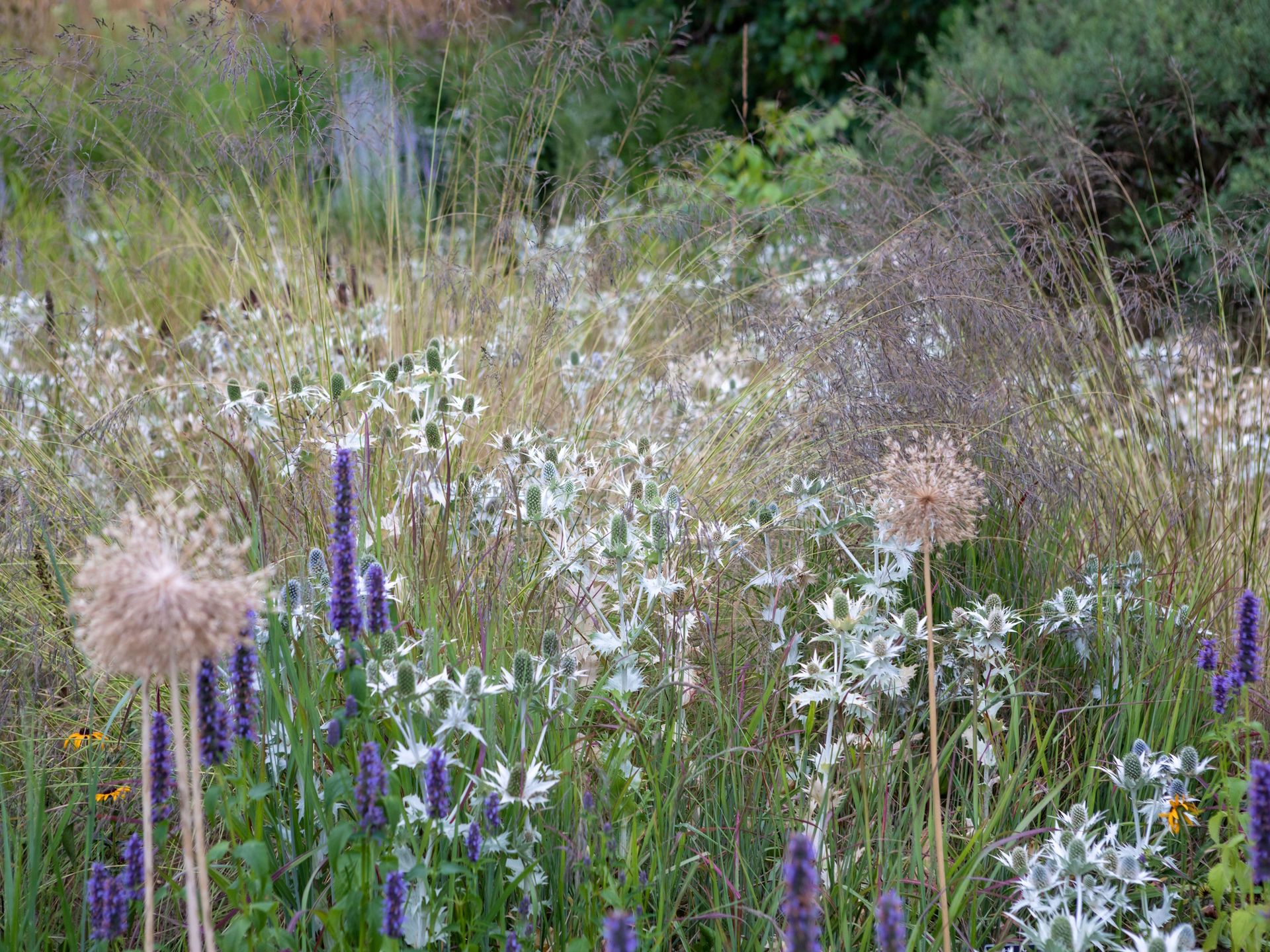 The new perennial movement explained & tips to get the look | Homes and ...