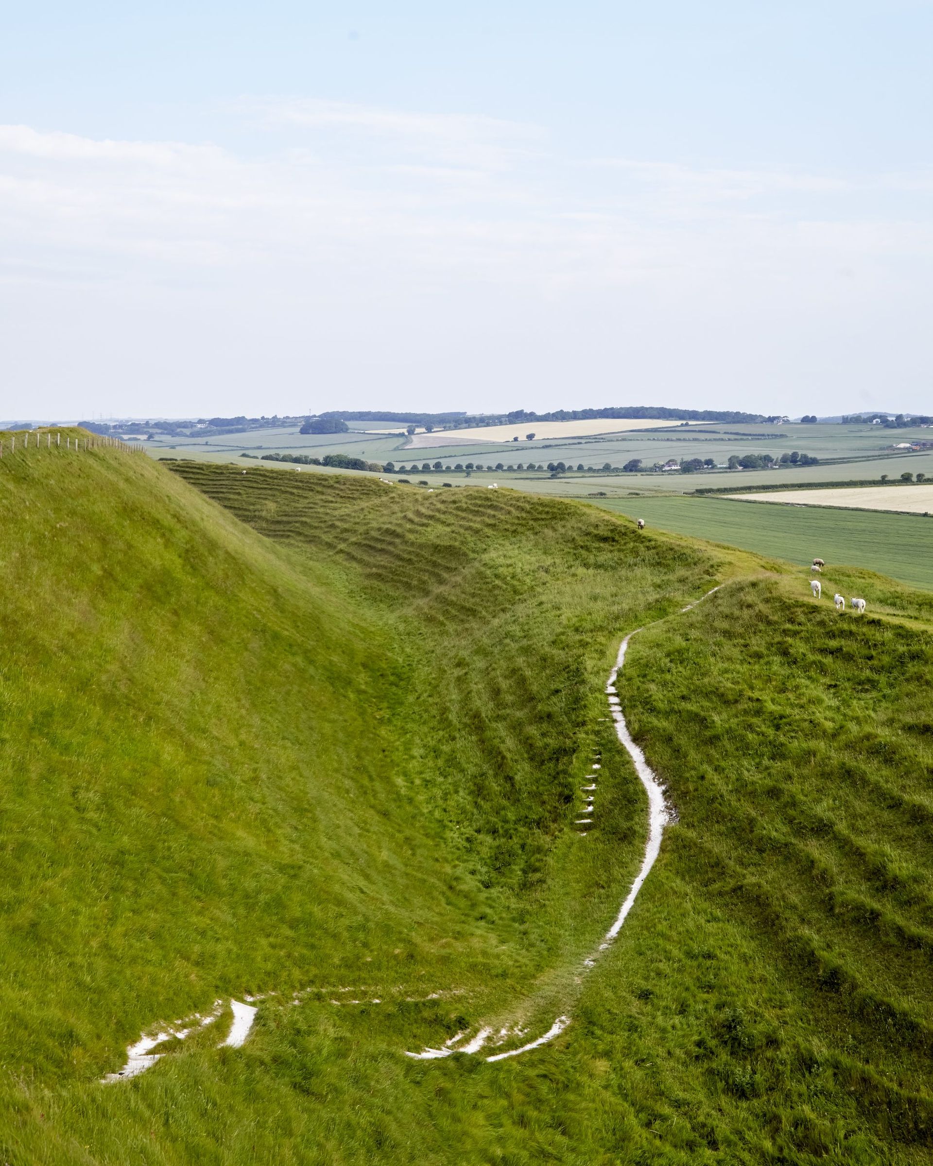 England’s chalk downlands: 'The European equivalent of a tropical ...