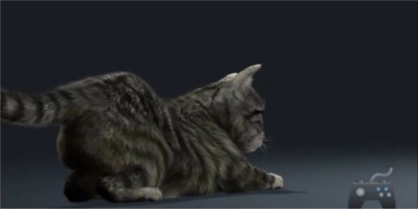 Cat Simulator Has Landed On Kickstarter | Cinemablend