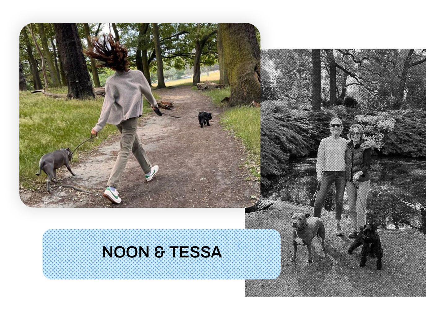 Who Runs @nooncolemann, Zendaya Dog's Instagram? | Marie Claire