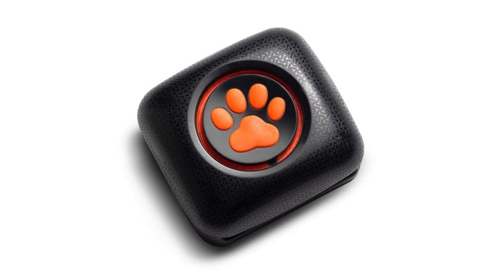 Best pet trackers 2024 for location and activity tracking | PetsRadar