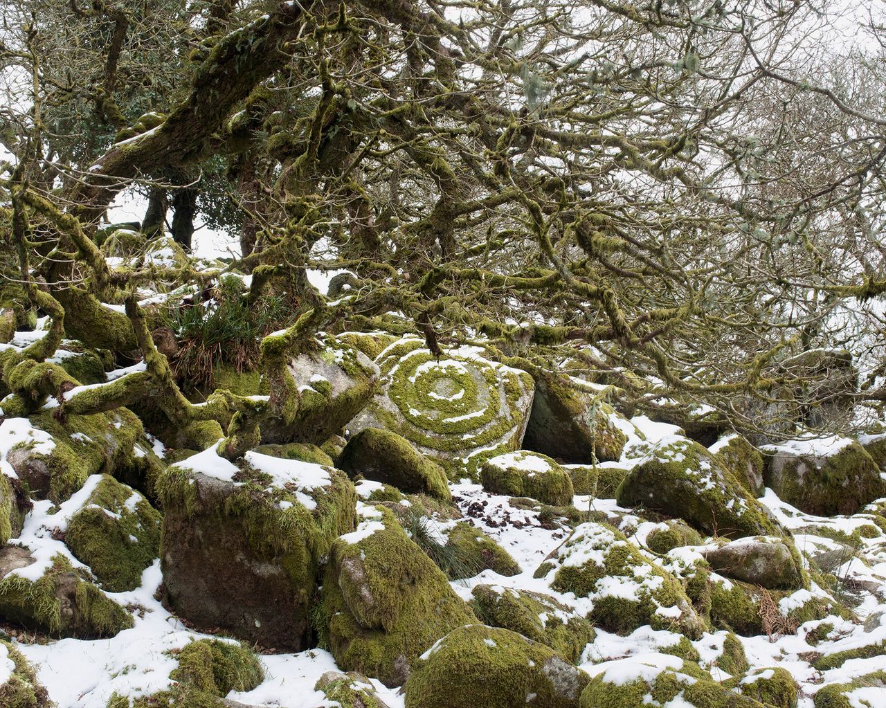 Robert Darch’s dystopian vision of Dartmoor: in pictures | Wallpaper*