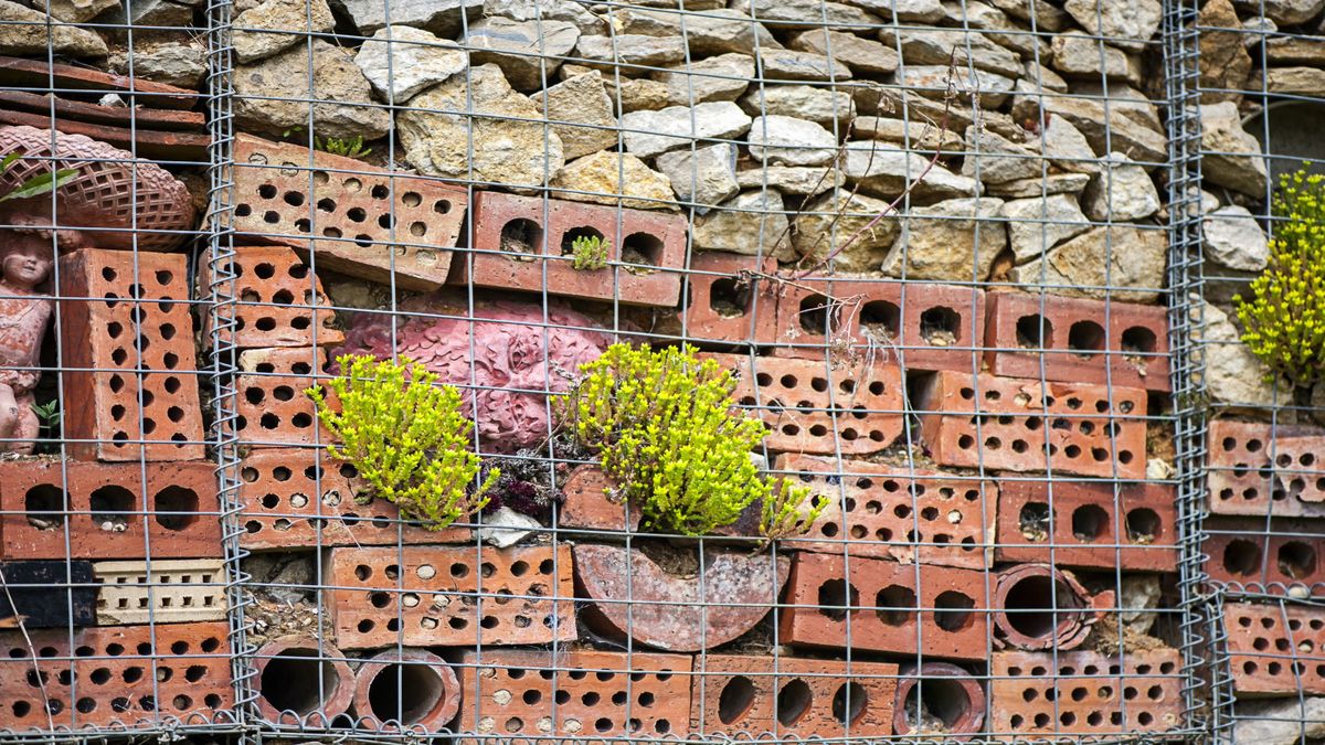 Garden Screening Ideas: 14 Solutions for Privacy and Shade | Homebuilding