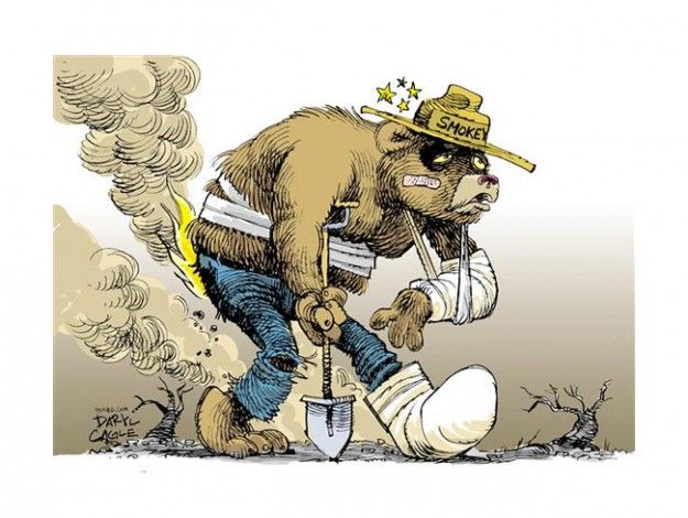 Smokey tested | The Week