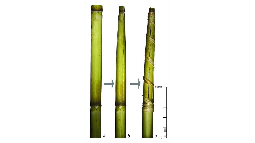 World's oldest drinking straws are 3 feet long and made of gold and ...