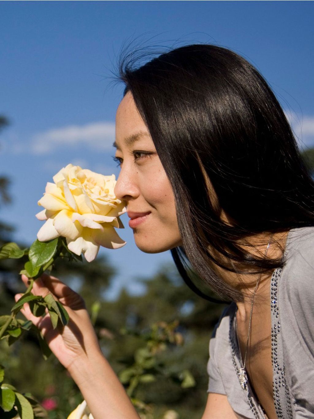 Fragrant Rose Varieties – Choosing Roses That Smell Good | Gardening ...