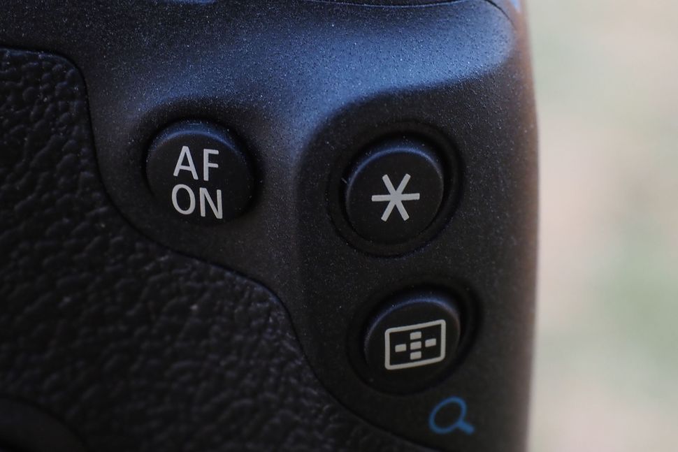 Hit the right spot with your Canon camera's Spot metering mode ...