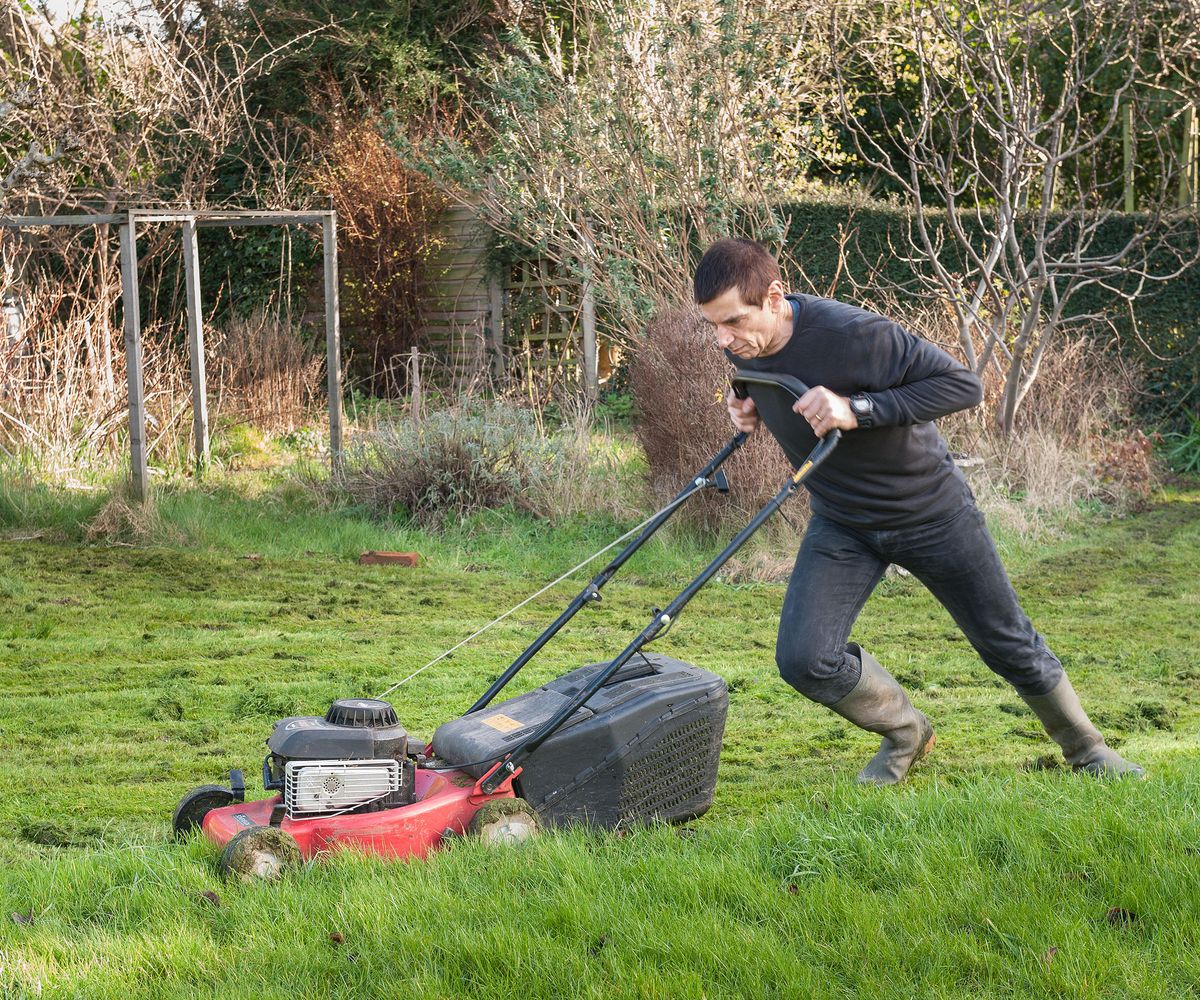 'Can I cut wet grass?' Lawn experts have the answer | Homebuilding