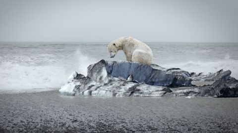 Global warming is forcing Earth's systems toward 'doom loop' tipping ...