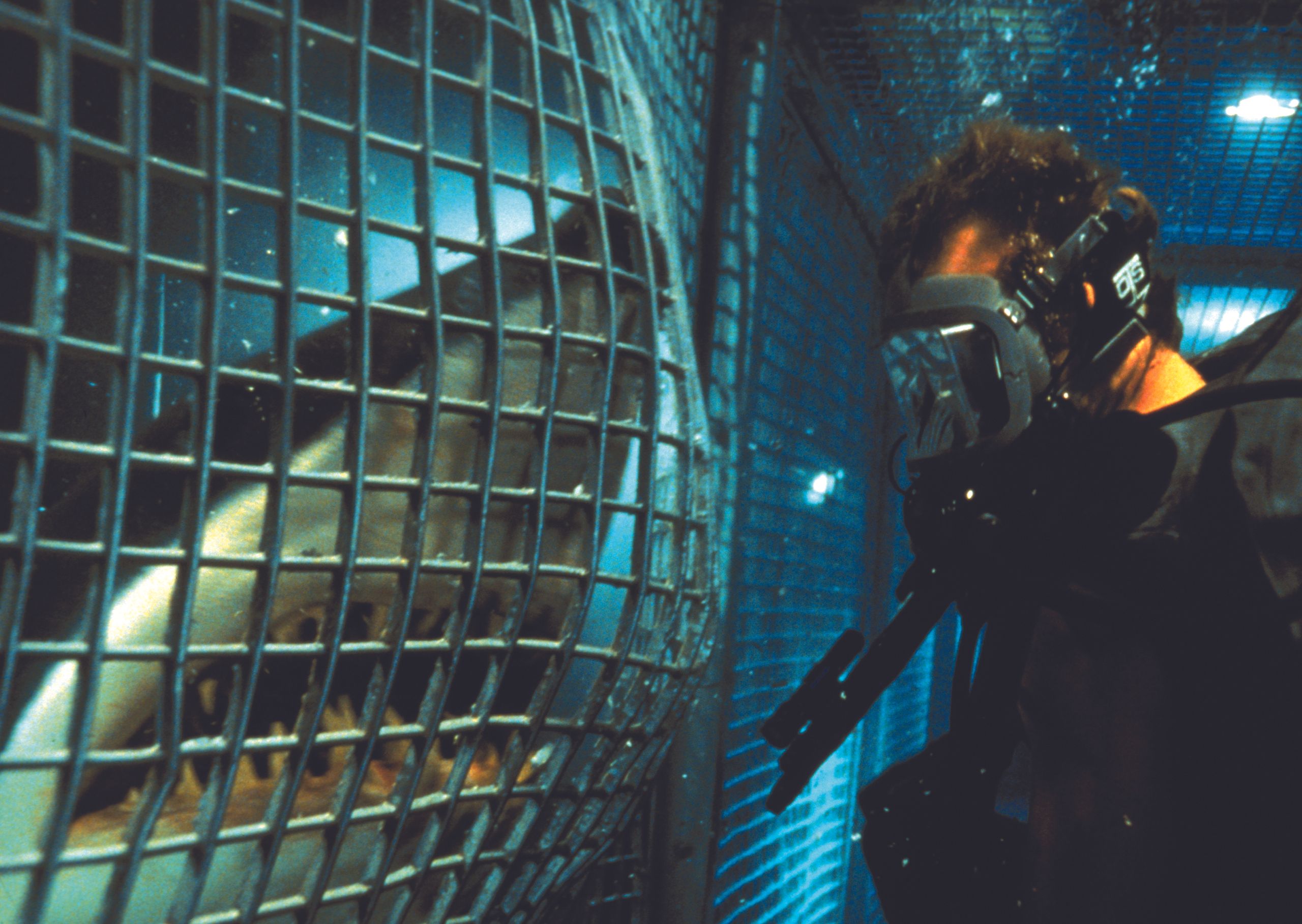 Deep Blue Sea - 5Spike | What to Watch