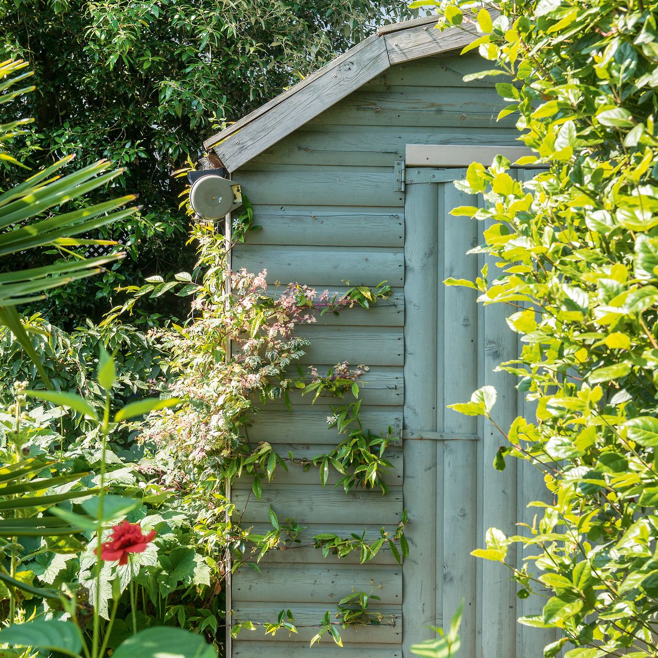 Garden colour schemes that work with Cuprinol's Natural Stone | Ideal Home
