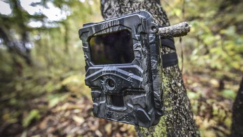 The best trail cameras | Digital Camera World