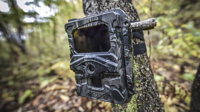 The best thermal-imaging cameras | Digital Camera World