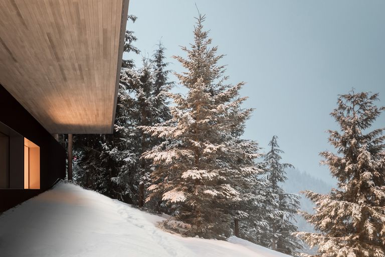 Flag House by Studio MK27 wins Best Ski Retreat | Wallpaper*
