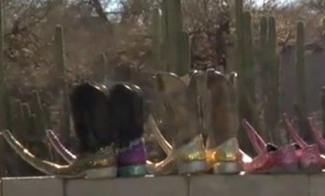 Mexico's 'insane' pointy boot craze | The Week