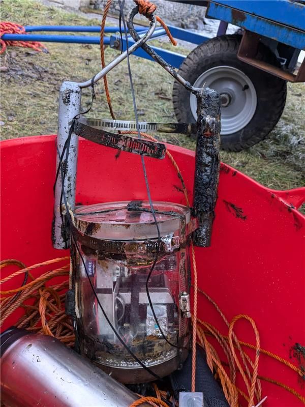 Researchers just uncovered a lost camera trap set in the 1970s to ...