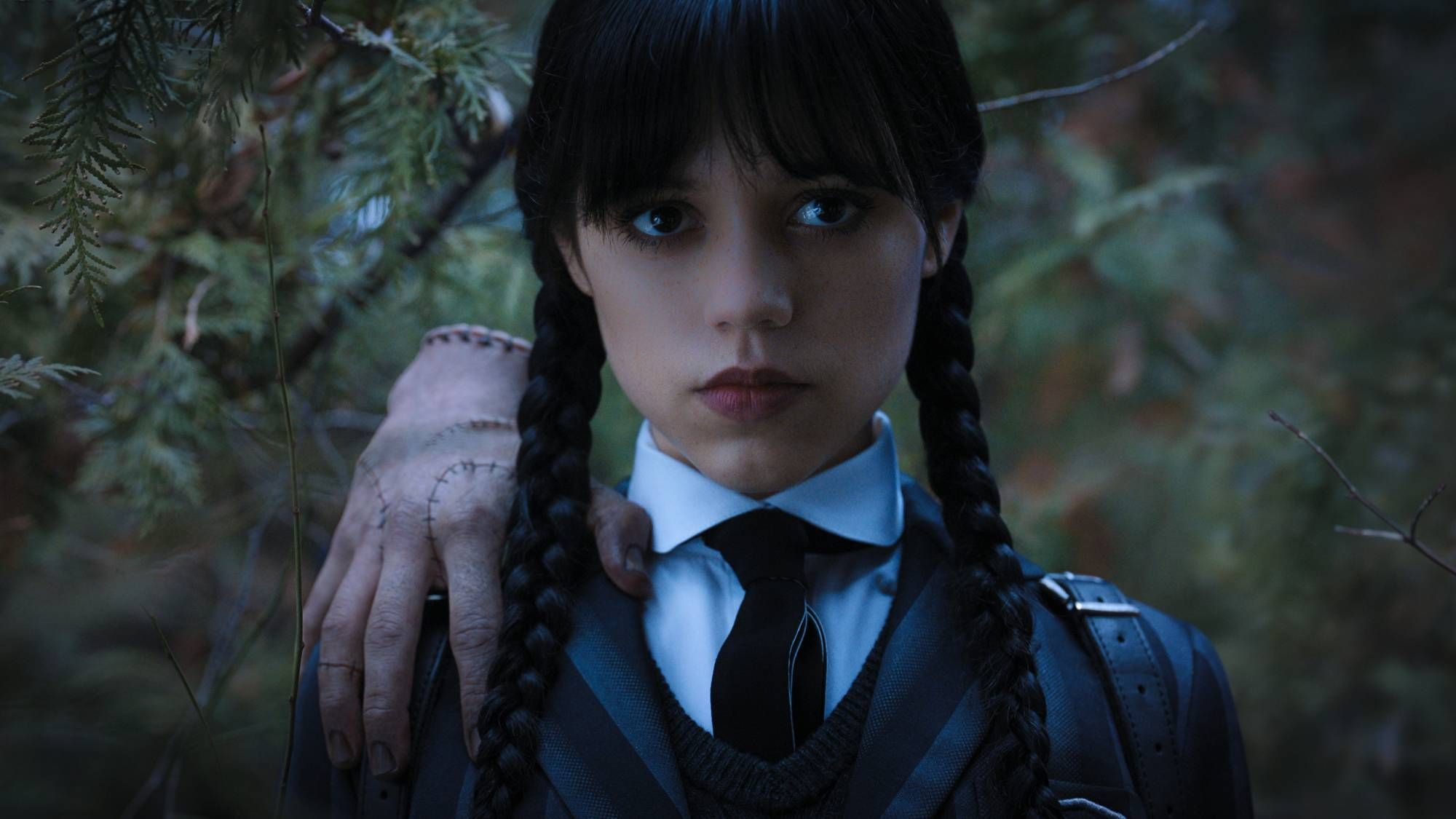 Wednesday Addams: Cast, release date and storyline of the new Netflix ...
