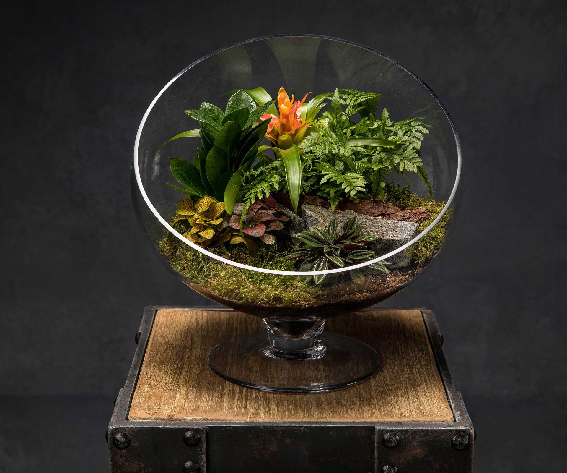 Terrarium care: tips on how to look after your display | Homes and Gardens