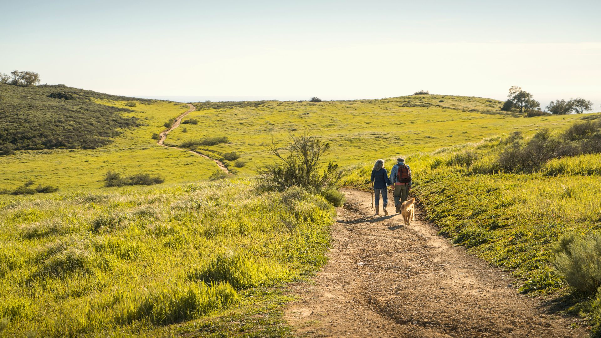 What Are The Different Types Of Walking Fit Well