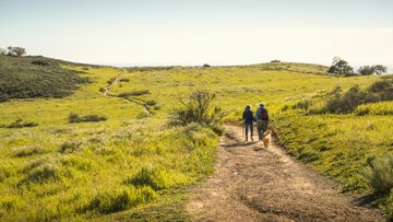 What are the different types of walking? | Fit&Well