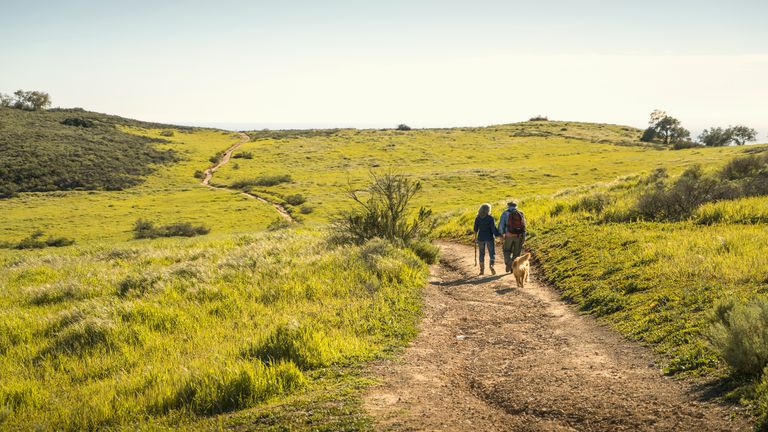 What Are The Different Types Of Walking Fit Well what-are-the-different-types-of-walking-fit-well