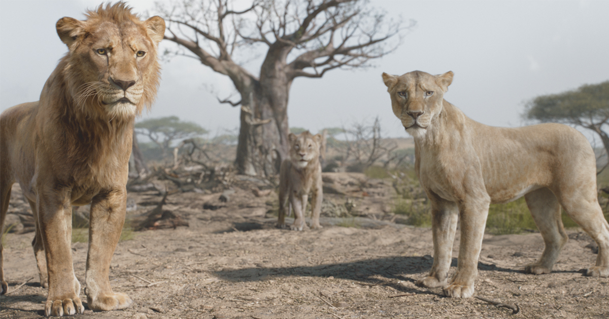 Mufasa: The Lion King director and cast reveal how the Disney prequel ...
